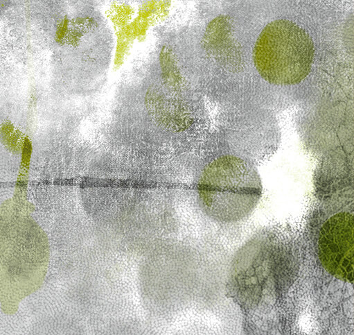 Réflexologie plantaire toulouse 31200 - Isabelle Fau