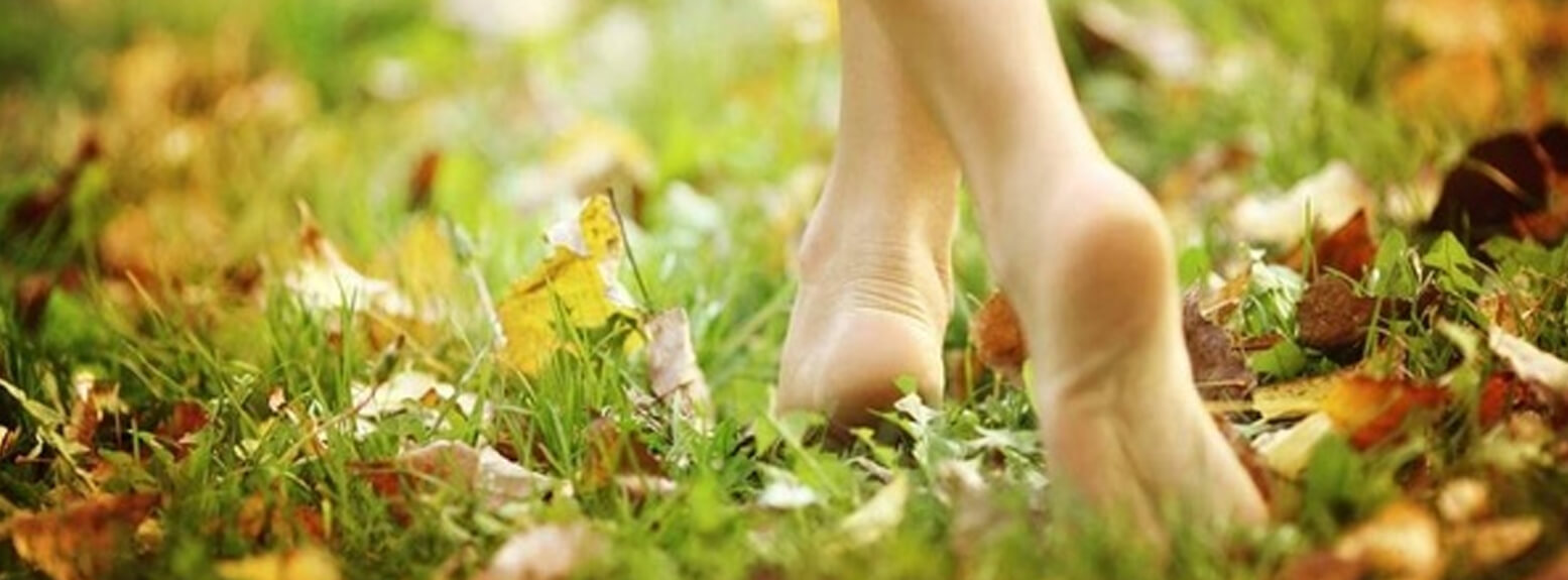 Réflexologie plantaire & Fleurs de Bach - Isabelle Fau 31200 Toulouse